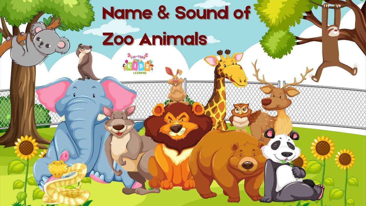 Let's Go To The Zoo | Animal Song for Kids |Vocabulary for kids | Wild ...