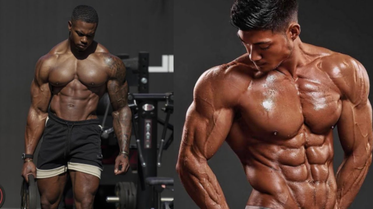 Top 10 Body Gaining Exercise - YouTube