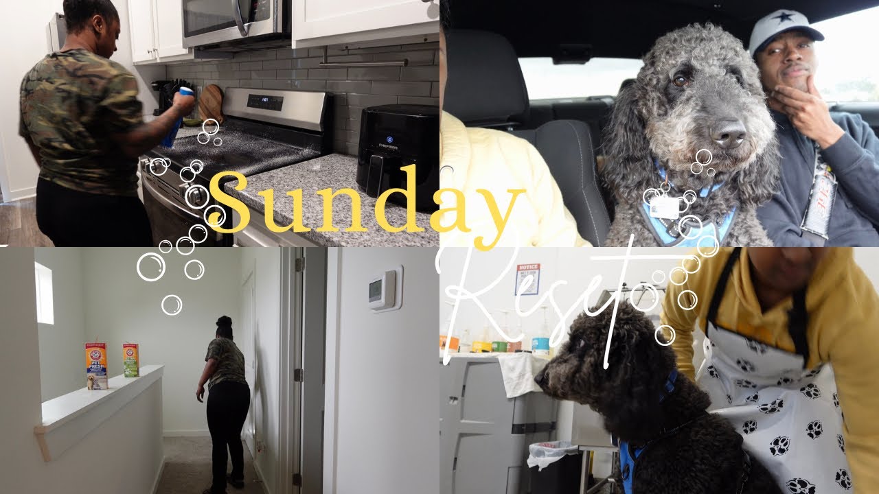 SUNDAY RESET | DOG WASH STATION & MORE - YouTube
