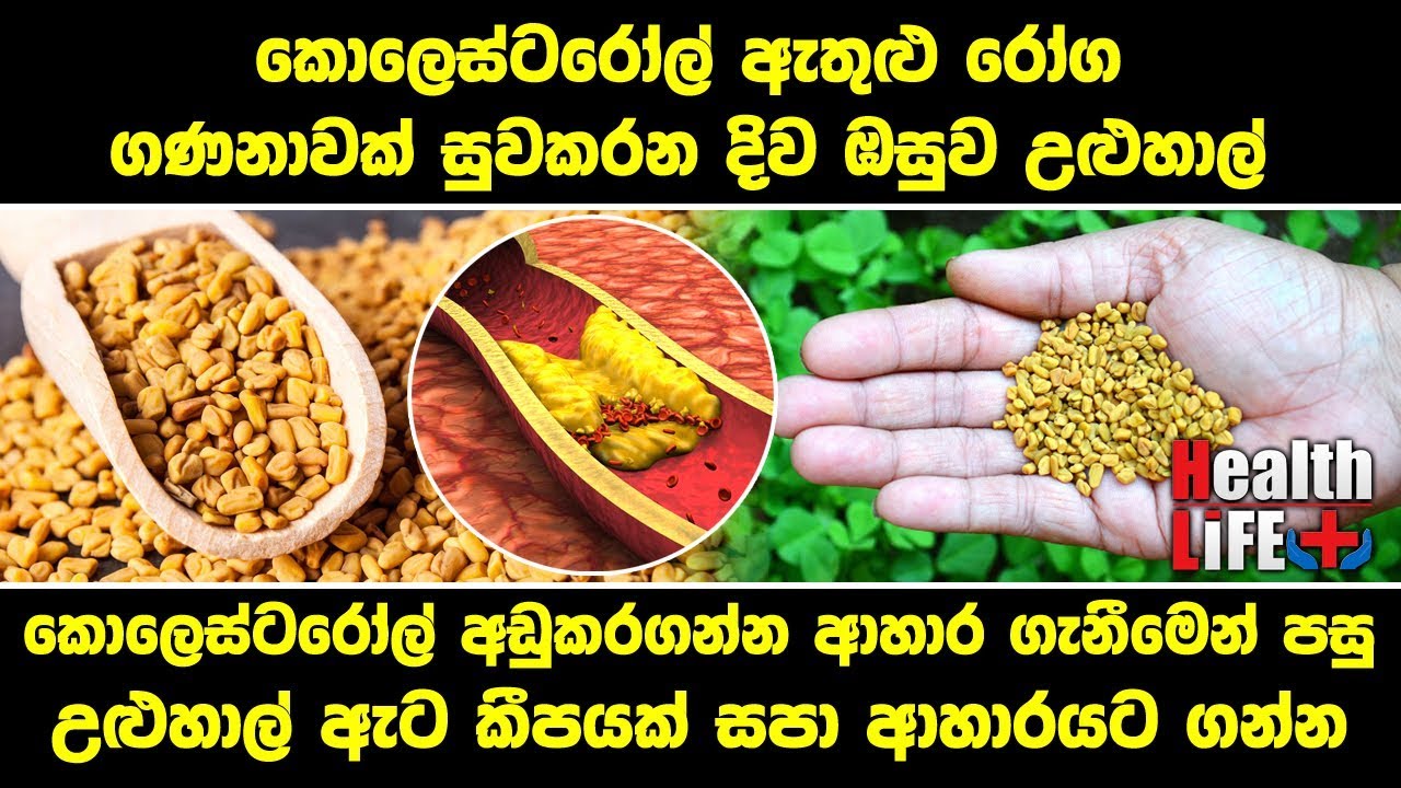 කොලෙස්ටරෝල් ඇතුළු රෝග ගණනාවක් සුවකරන දිව ඔසුව උළුහාල් | Fenugreek ...