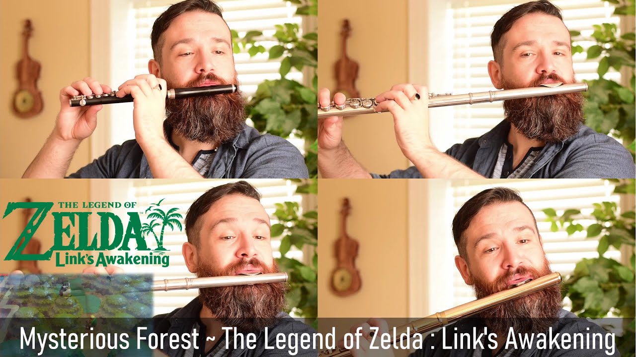 Mysterious Forest - The Legend of Zelda : Link's Awakening // FLUTE ...