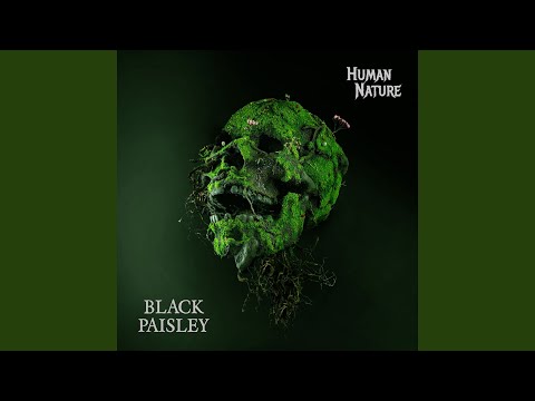 Black Paisley – Human Nature (2022, CD) - Discogs