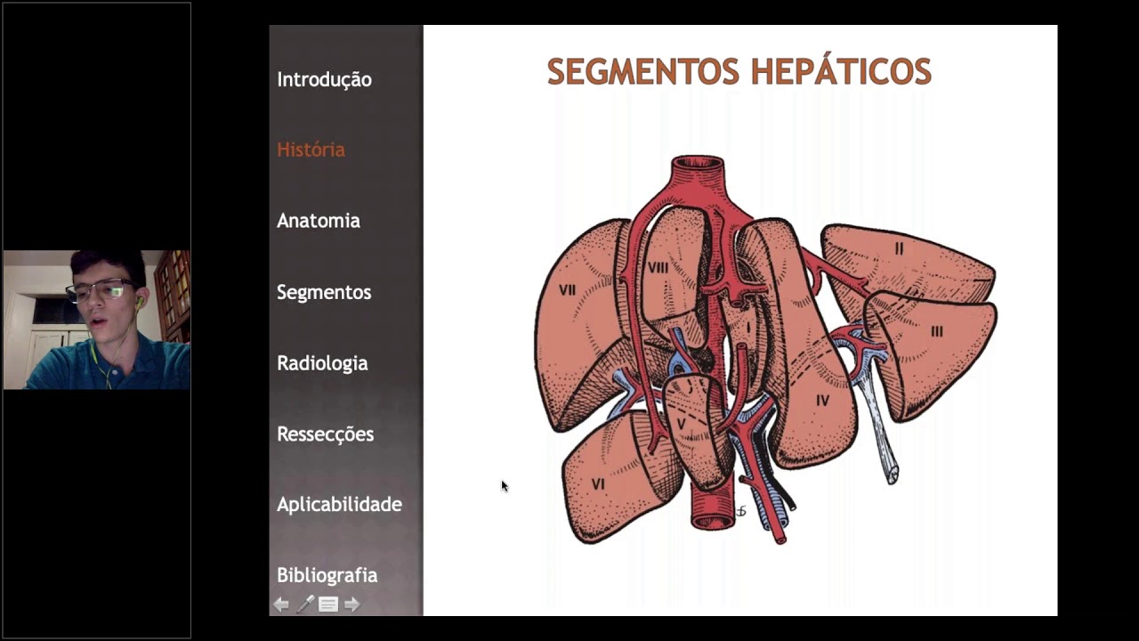 ISOLAMENTO ANATÔMICO - AMC 19: ANATOMIA APLICADA DA SEGMENTAÇÃO ...