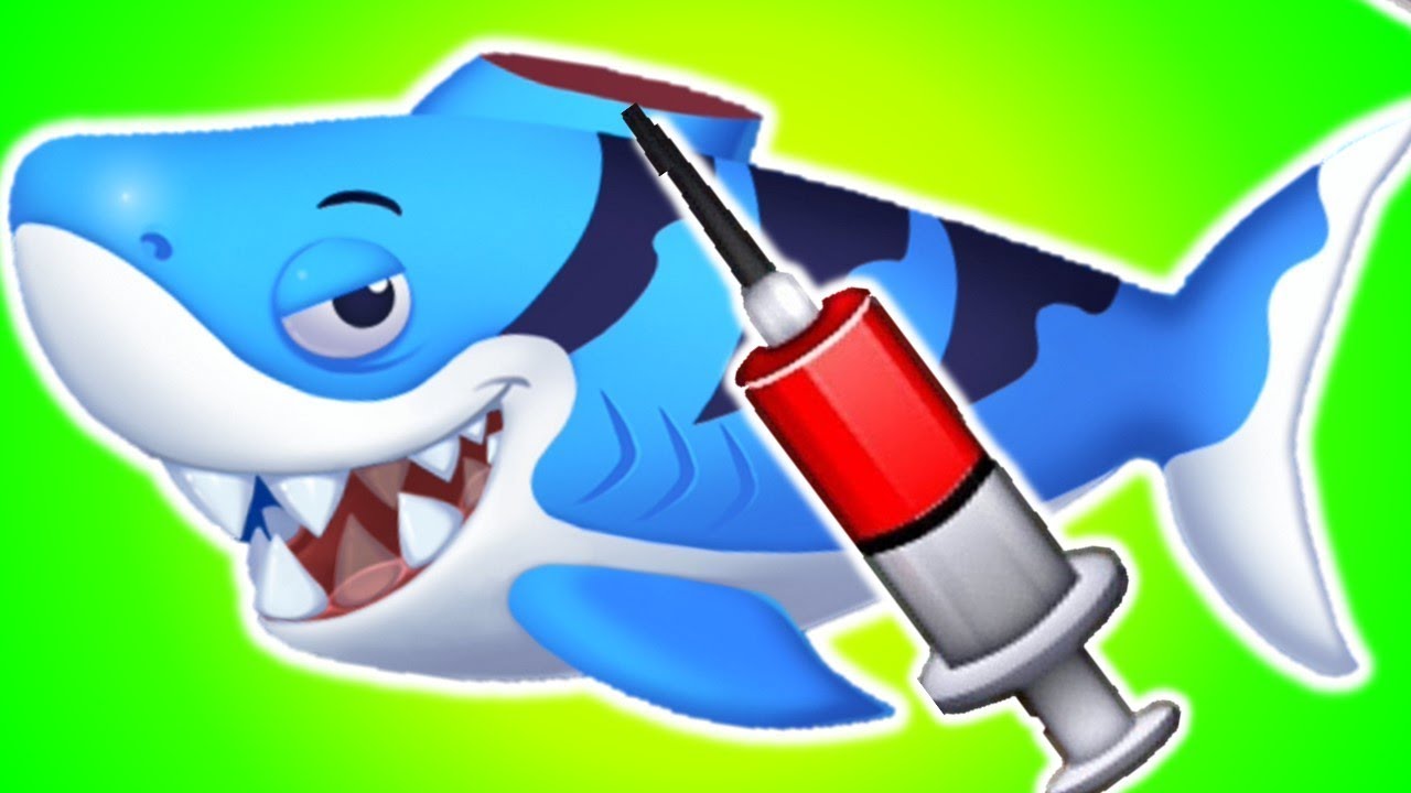 Sea Animal Doctor Fish - Injured Shark Care and Treatment - Ocean ...