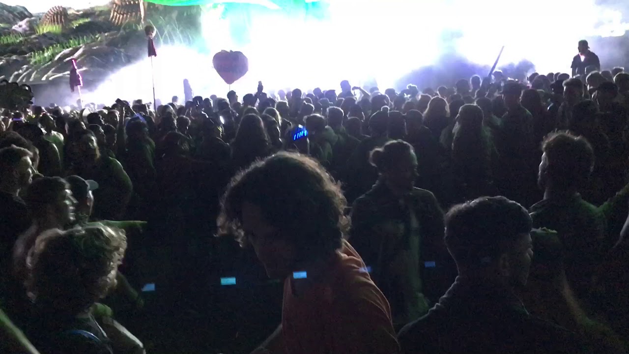 Lost Lands Mosh Pit (throwing elbows) - YouTube