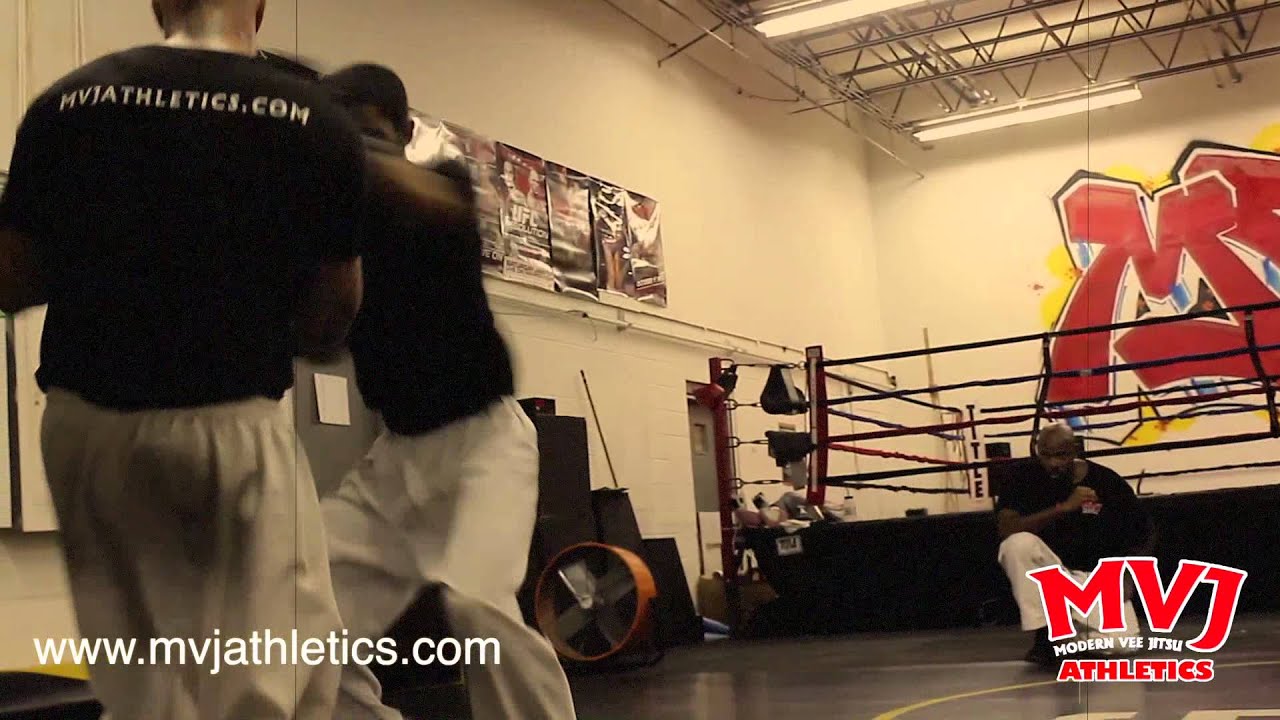 Modern Vee-Jitsu System of Systems (Professor Ozzie Miller) - YouTube