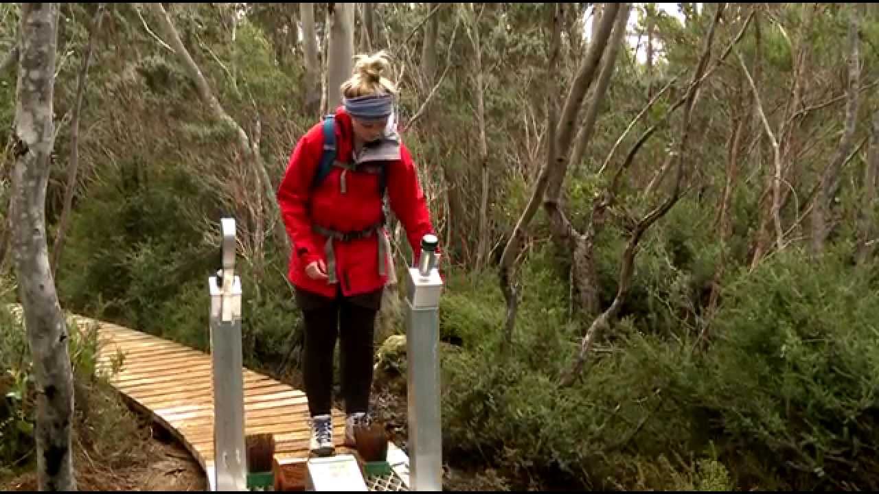 Bushwalking: Biosecurity in the Tasmania Wilderness World Heritage Area ...