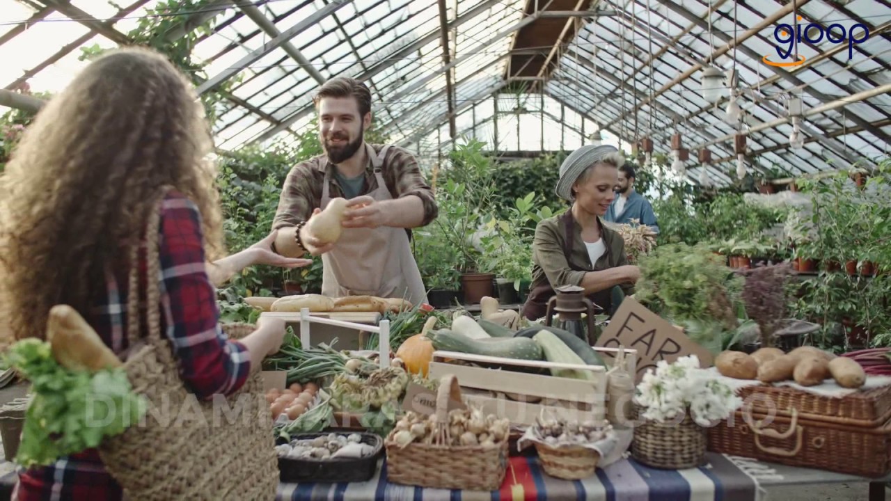 Video presentación Gioop - YouTube