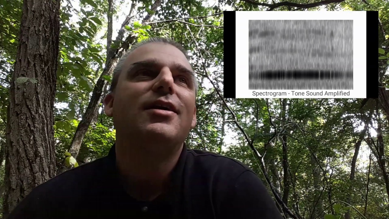 Bachelors Grove Cemetery - Anomalous Audio and Photo Shoot - YouTube