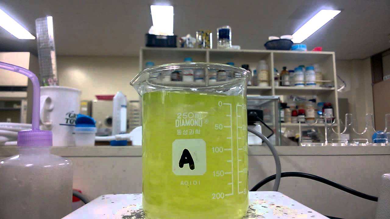 Algae flocculation by Chitosan - YouTube