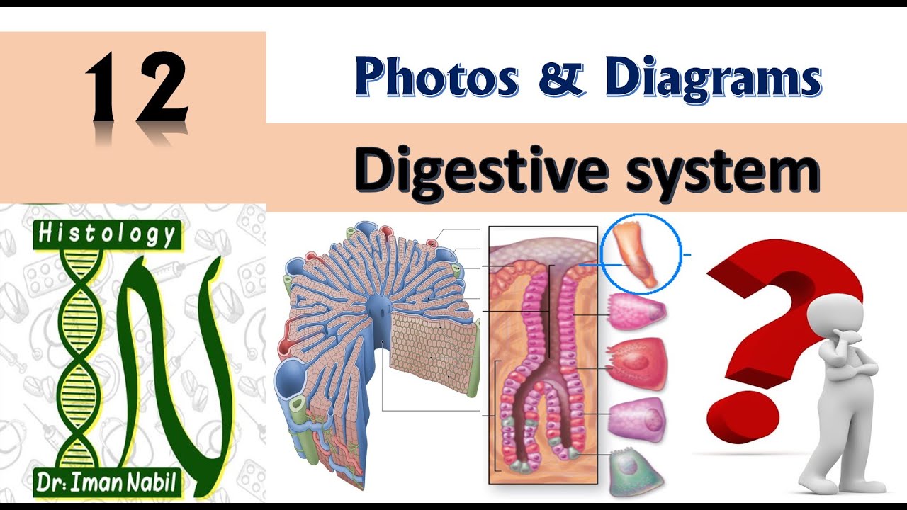 Practical GIT- Diagrams and photos - YouTube