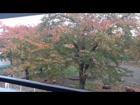 Cleaning Balconies and Autumn Leaves
