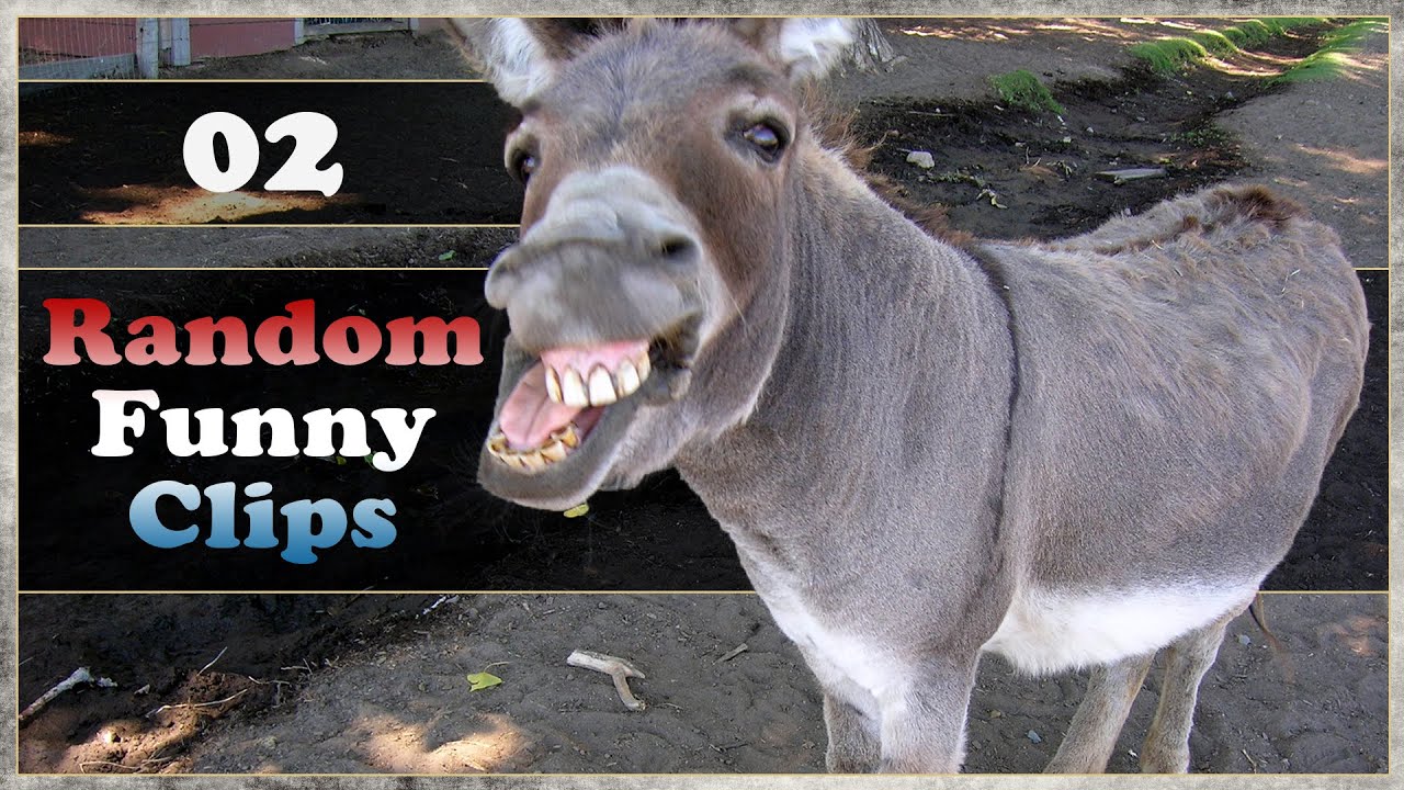 Random Funny Clips - Ep.02 - Goofy Asians! - YouTube