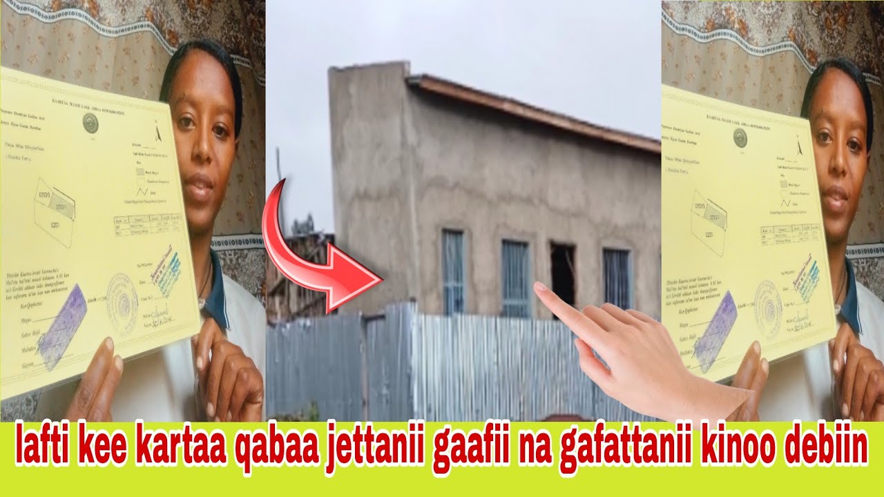 Lafti fi manni kee kartaa qabaa?jettanii haafii na gafattani kinoo ...