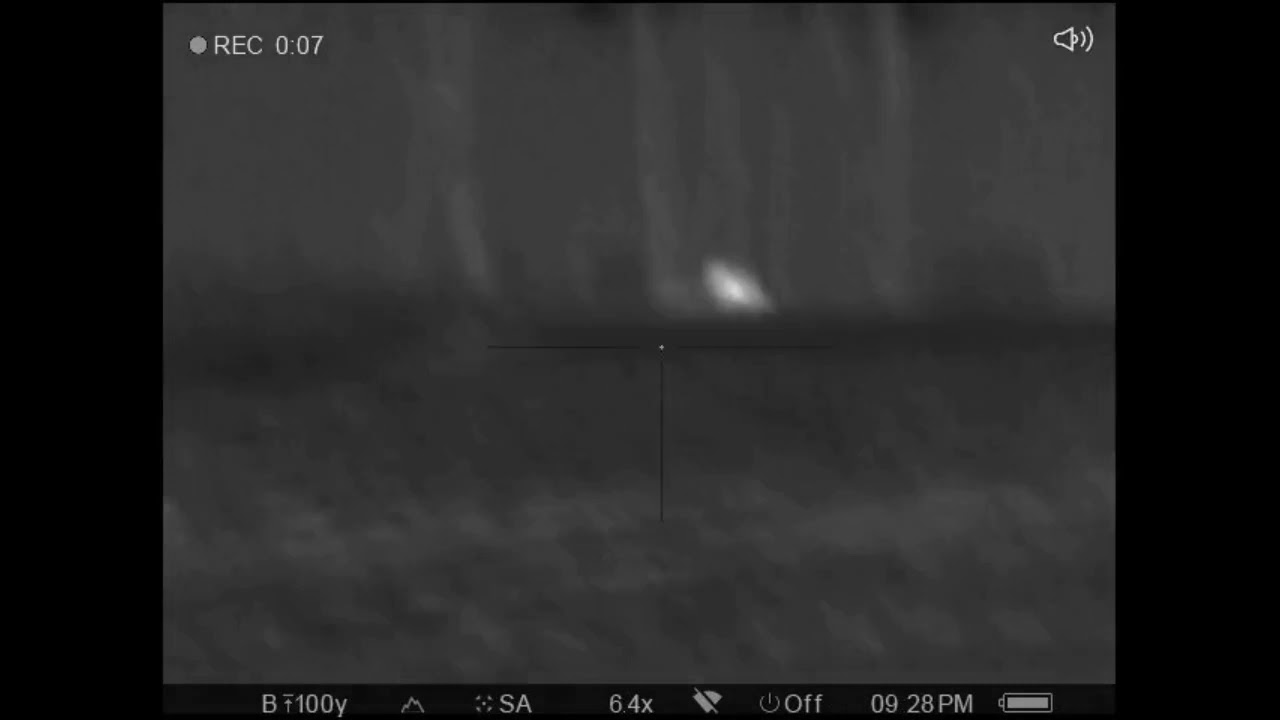 Bait pile. 300 yards - YouTube