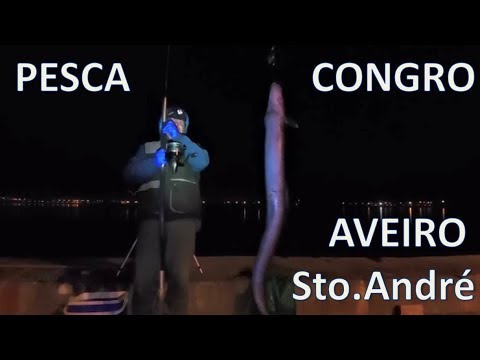 Pesca ao congro - YouTube