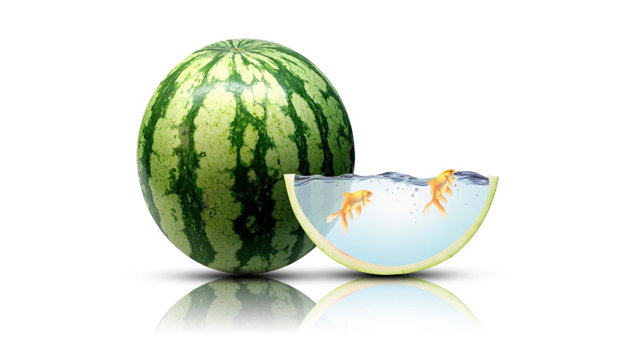 Simple Photo Manipulation in Photoshop _ Watermelon and Fish - YouTube