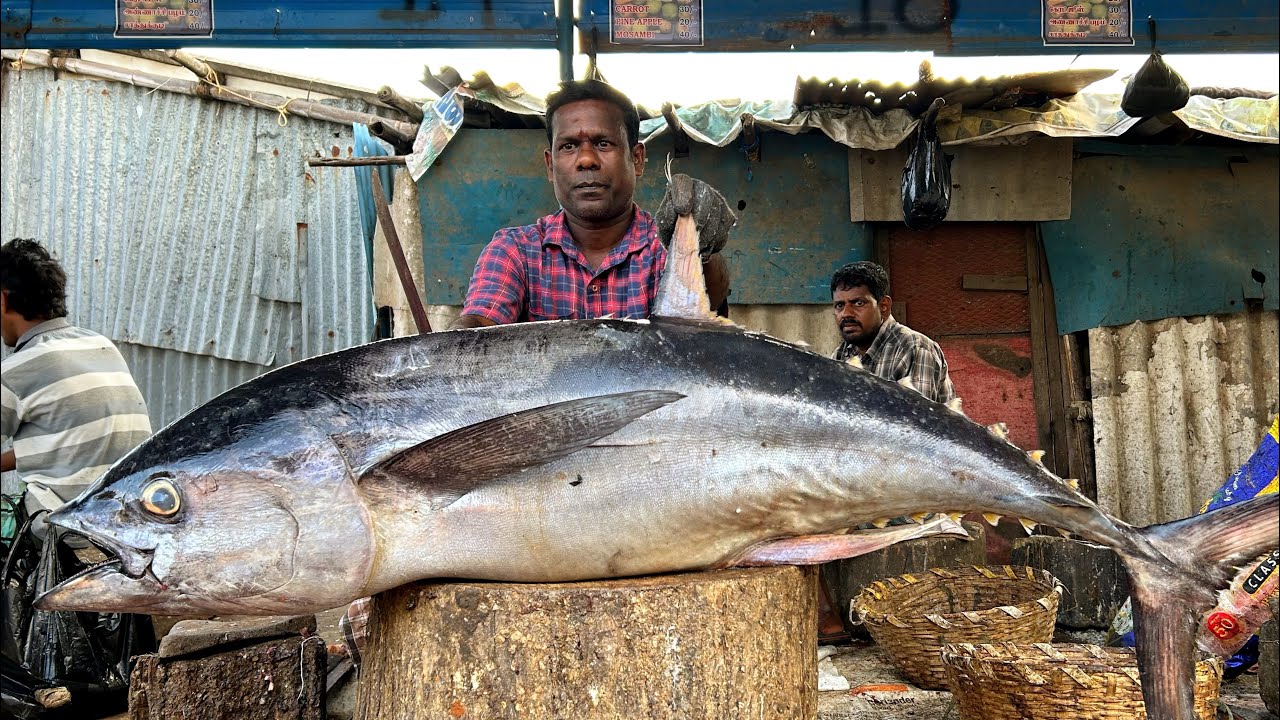 BIG YELLOW FIN TUNA FISH 🐟 KASIMEDU FISH MARKET FISH CUTTING # ...
