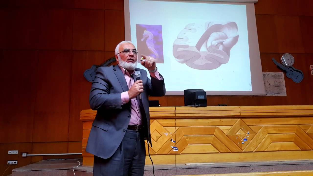 Anatomy Dr Hassan Serry Limbic system important points - YouTube