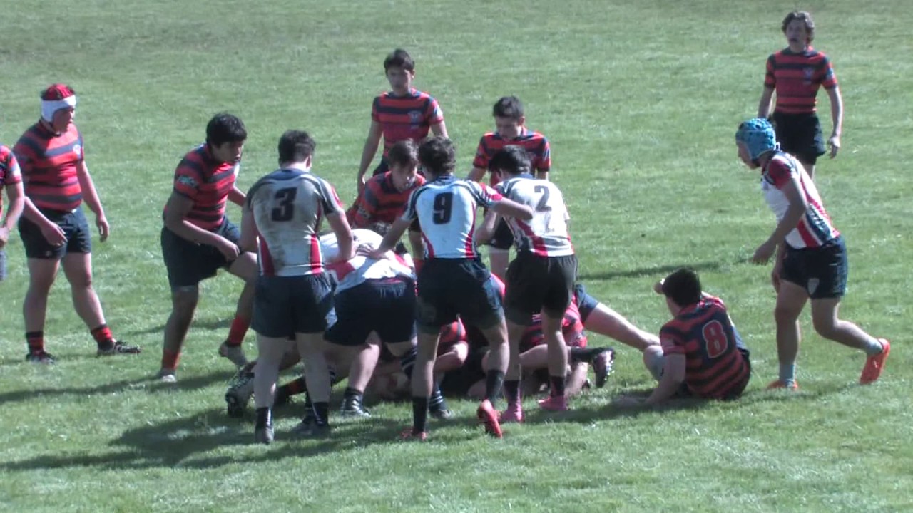 Rugby 2017 Springfield V2 - YouTube