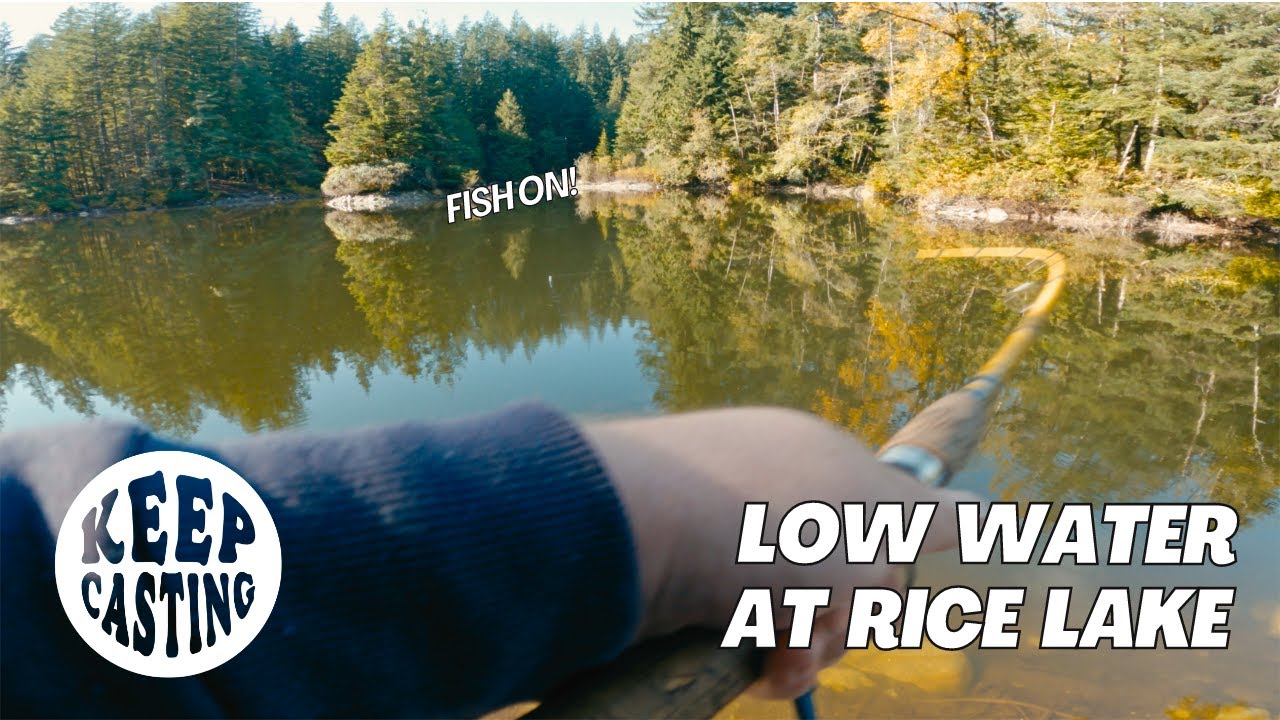 RICE LAKE — Fishing for Stocked Rainbow Trout in Low Water | North ...