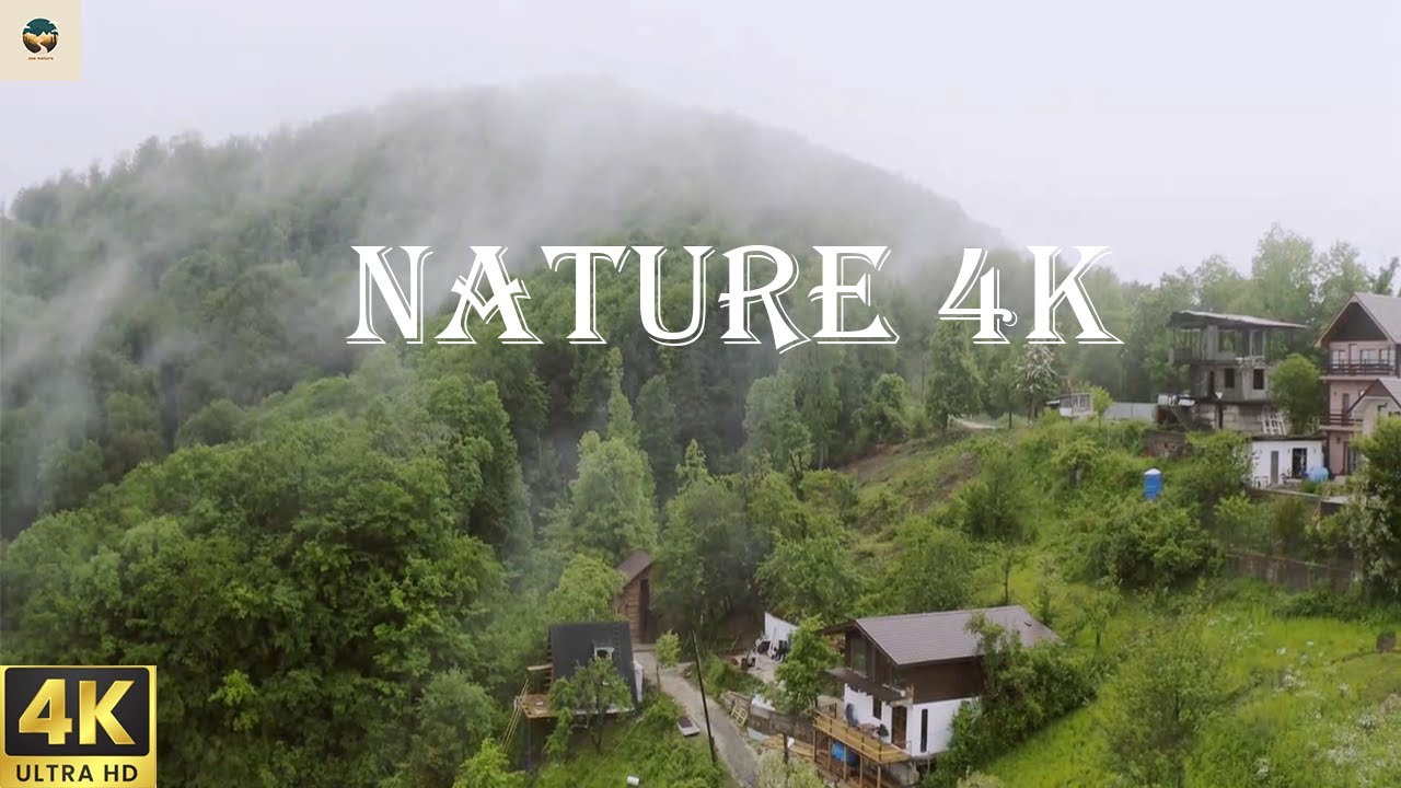 4k nature | 4k video ultra hd | 4k nature relaxation | 4k video 60fps ...