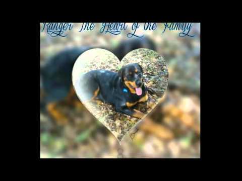 A Birthday Tribute to Ranger