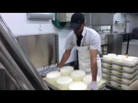 CHEESE FORMING MACHINE - YouTube