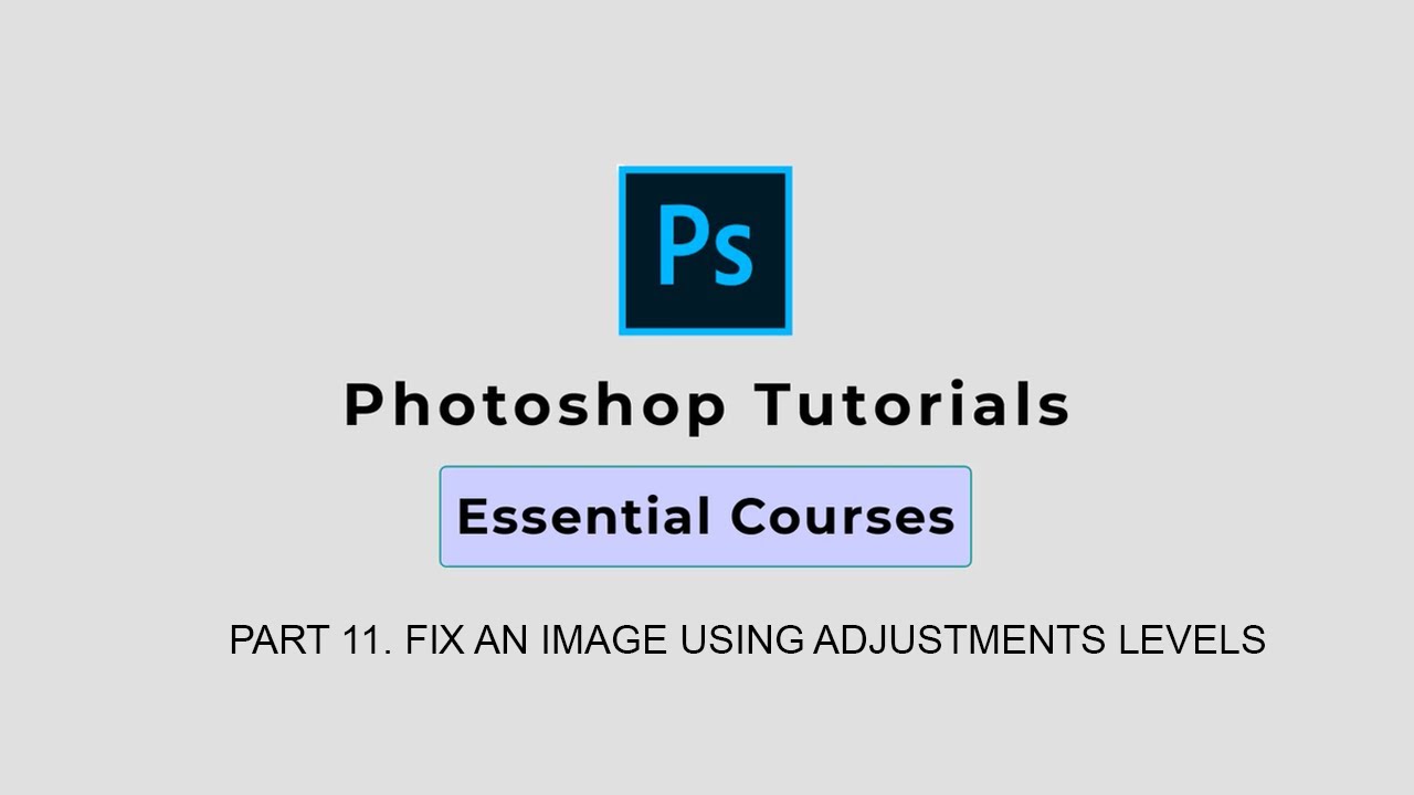 Fix An Image Using Adjustment Levels in Photoshop | Photoshop for ...