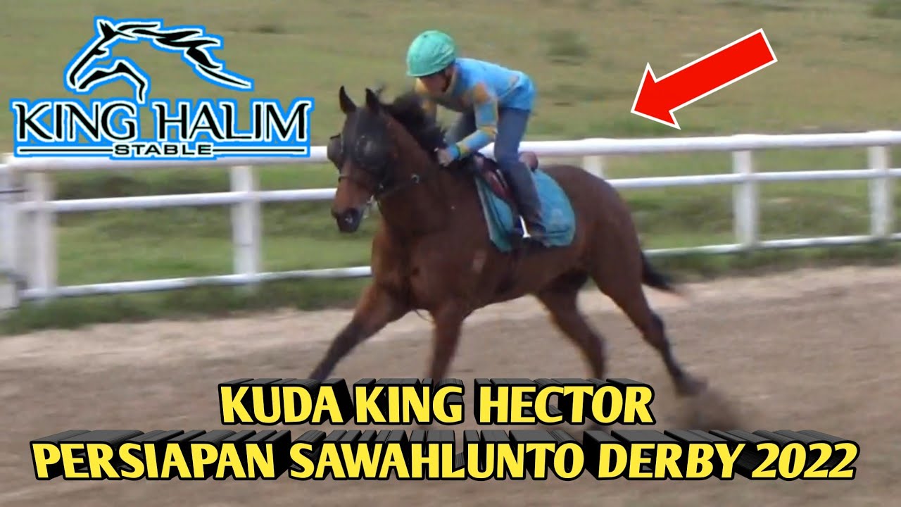 KING HECTOR 🐎 KUDANYA KING HALIM STABLE' SEMAKIN MANTAP MENGHADAPI ...