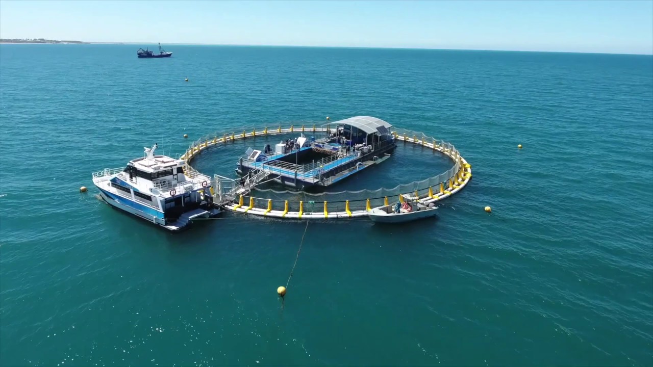 Oceanic Victor 2 Hour Aquarium Tour - YouTube