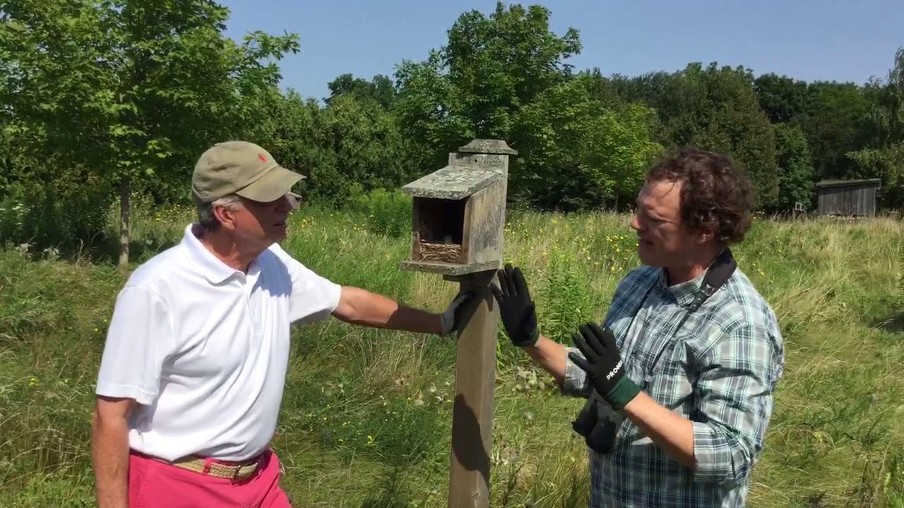 Birding Tips from Jody Allair, Bird Studies Canada - YouTube