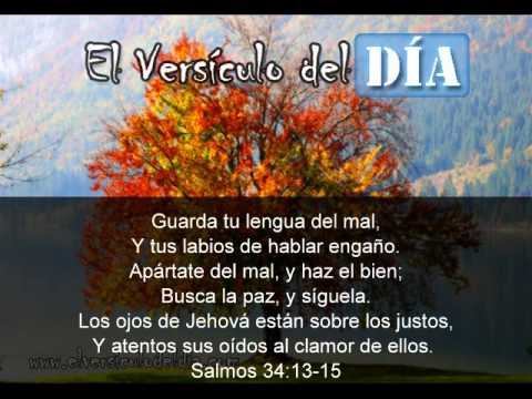 El versiculo del dia .com - Salmos 34 v13-15 - YouTube