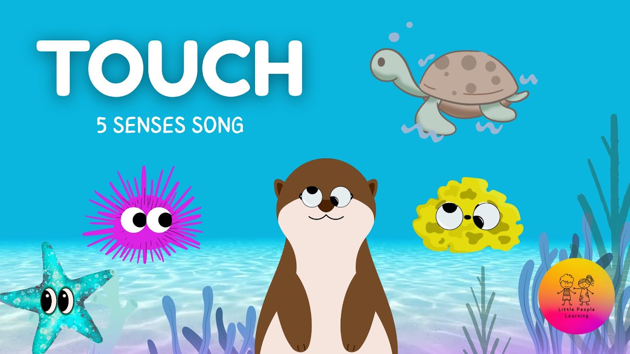 TOUCH | 5 Senses Song Kids Song | Preschool | Kindergarten | Learn the ...