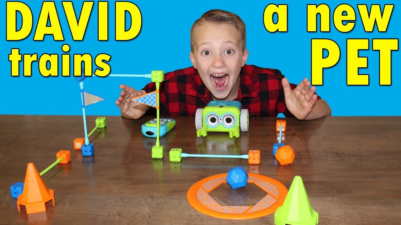 Table Top Obstacle Course! - YouTube