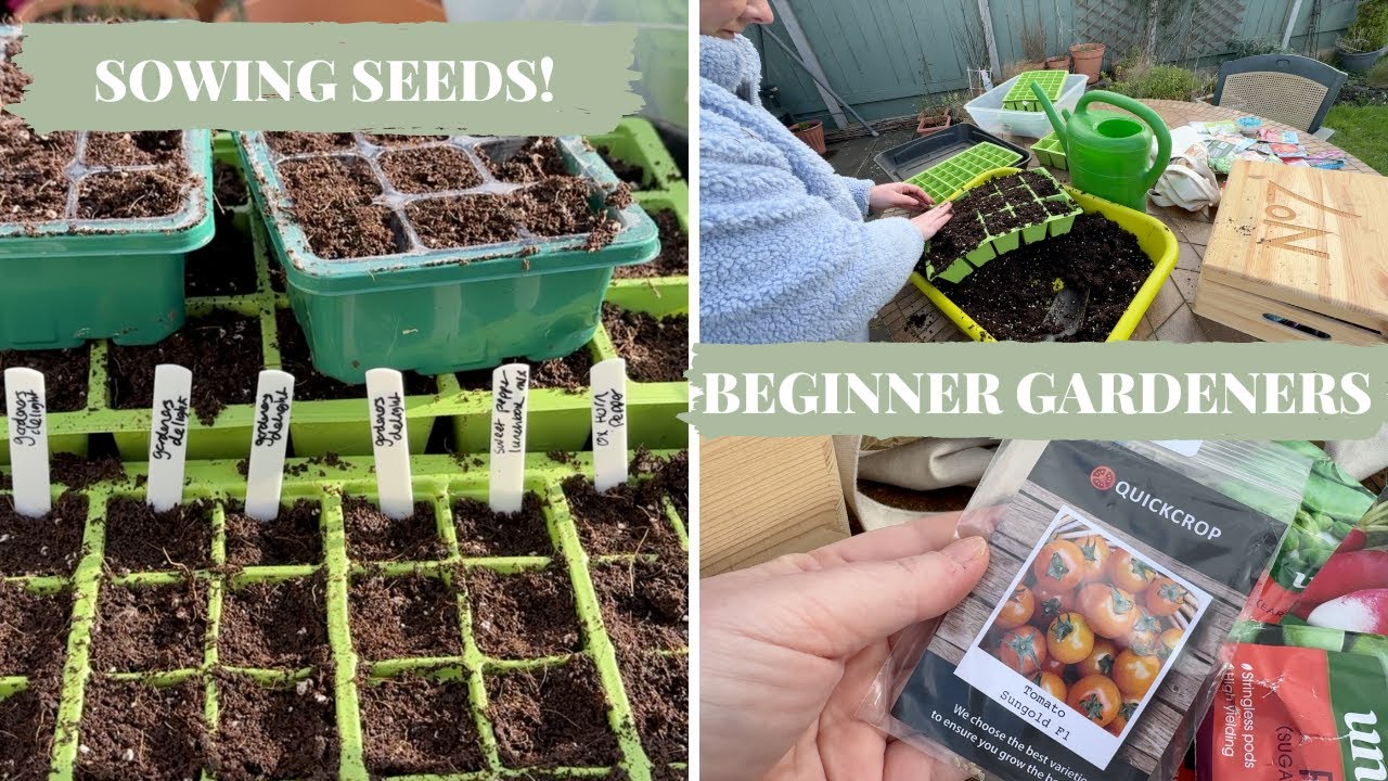 Sowing my first seeds of 2024! Beginner gardener friendly - YouTube