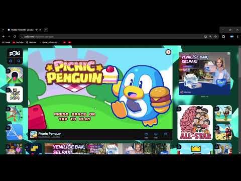 PICNIC PENGUIN GAME