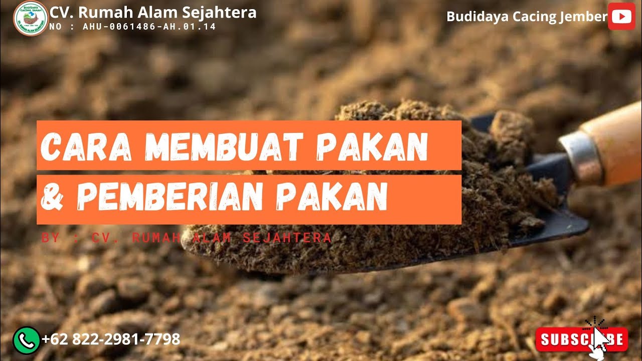 CARA MEMBUAT PAKAN CACING & PEMBERIAN PAKAN - BUDIDAYA CACING TANAH ...