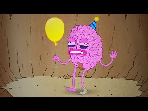 What Do Monkeys Do During Menstruation