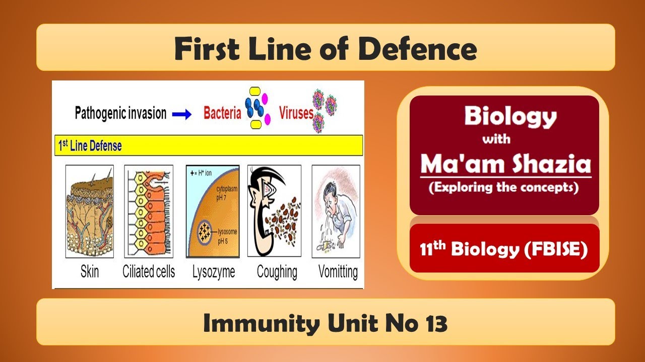 First line of defence || Mucus lining || Immunity || F.Sc Biology with ...