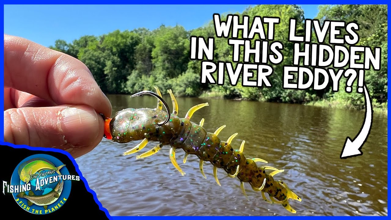 What GIANT FISH lurk in this HIDDEN RIVER EDDY?! - YouTube