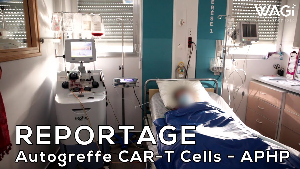 Comprendre l'autogreffe et les CAR-T Cells - YouTube