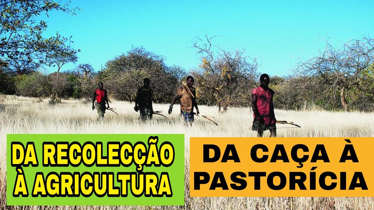 OS POVOS BANTU || ORGANIZAÇÃO SOCIOECONÓMICA E POLÍTICA || (Parte 1 ...