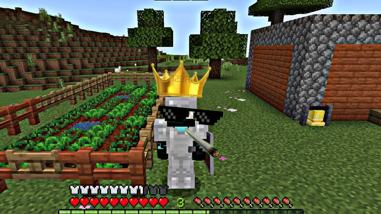 Minecraft survival series part 4 I BUILD carrot farm in Minecraft - YouTube