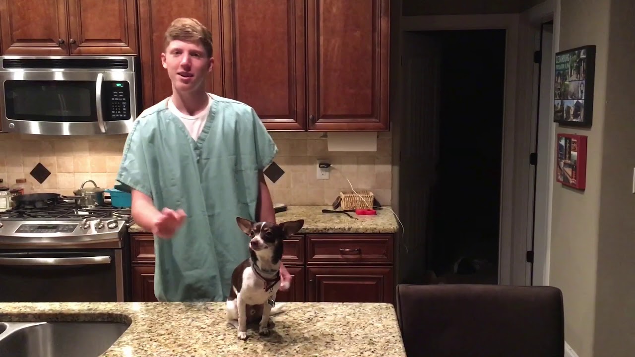 Beans genetic engineering - YouTube