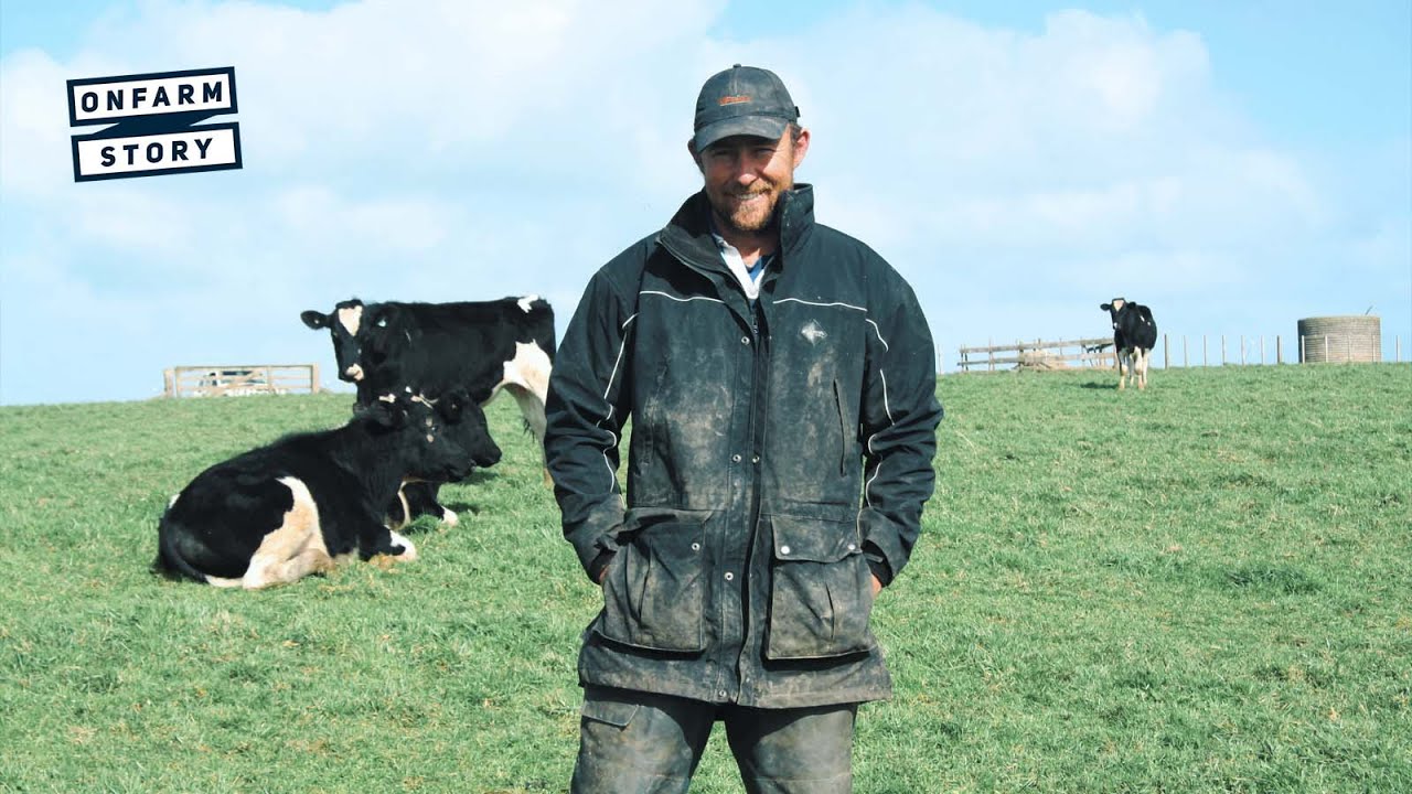 Bobby Calves – NZ Dairy Farmer Keeps Newborns for Longer | On Farm ...
