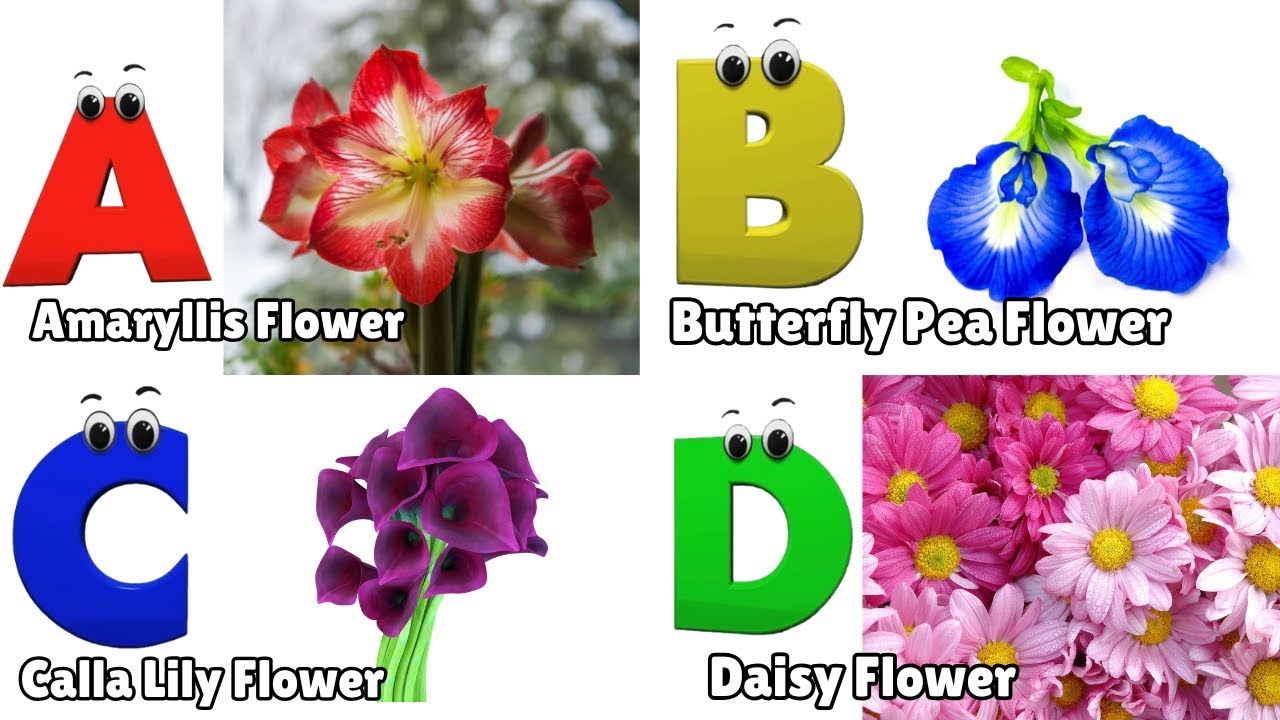 Flowers ABC Song for Kids - Phonics for Kids - Learn Alphabet Letters ...