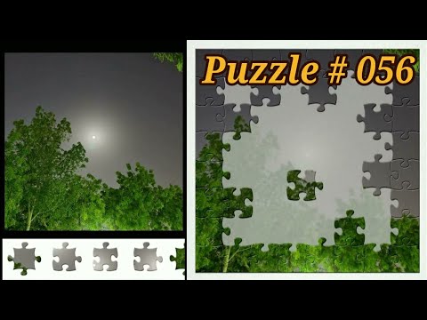 Moon in the night sky and the beautiful appearance of acacia Puzzle ...