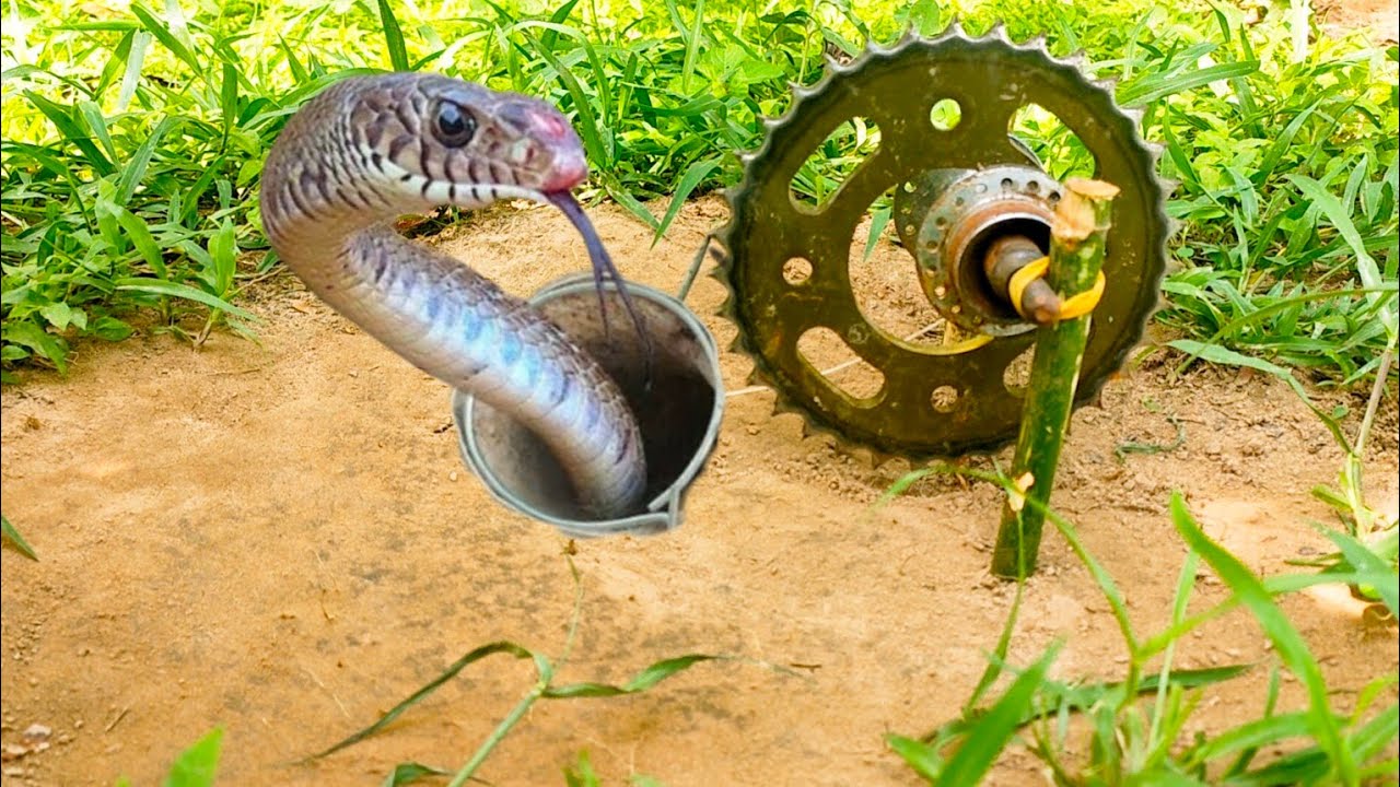 DIY snake trap the best design using a wheel tool attached to a large ...