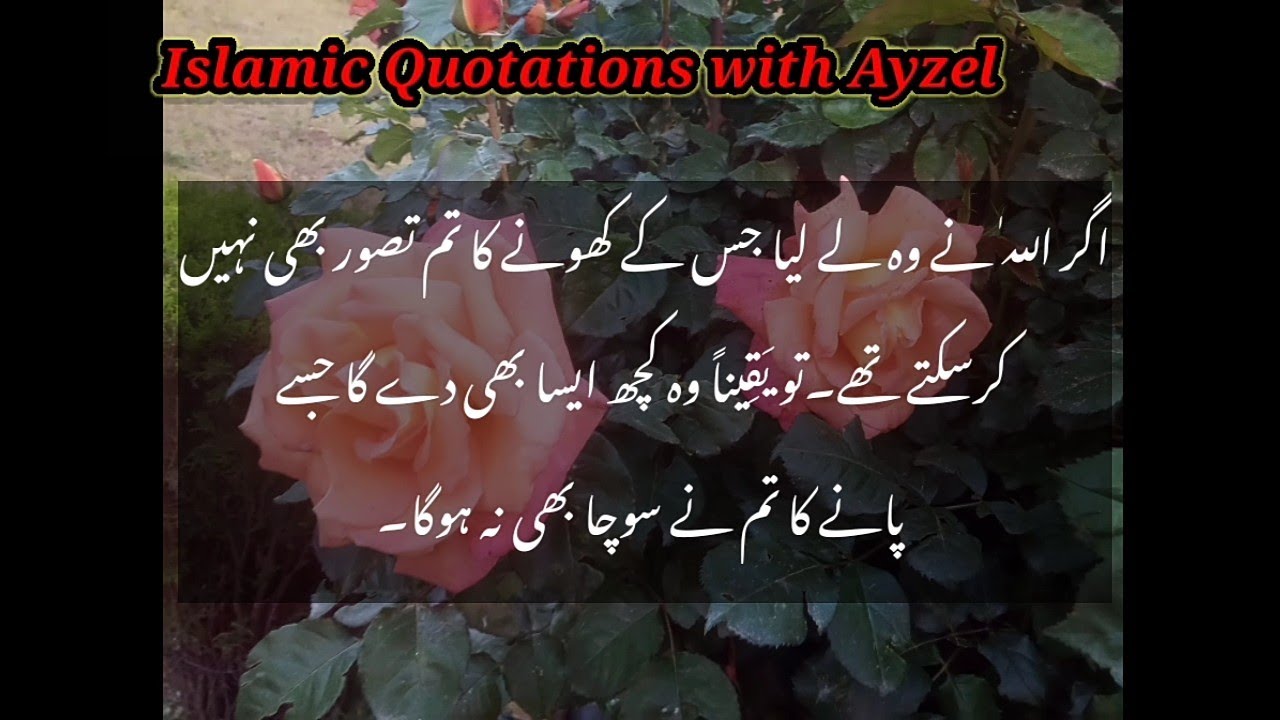 best Qoutations about life| best heart touching quotes| Islamic ...